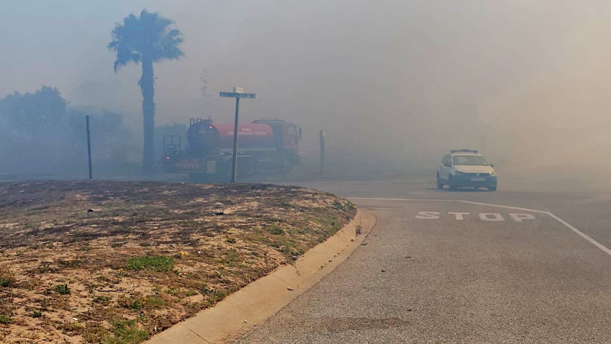 Raging veld fires in Nelson Mandela Bay force K9 Unit evacuation, cause ...