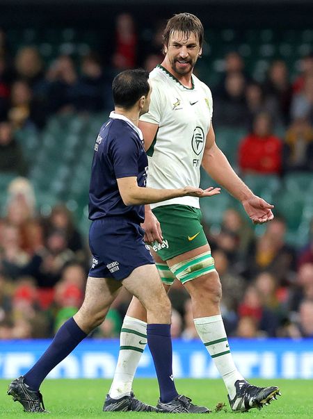 Panel finds Etzebeth guilty of ‘intentional’ eye gouging, but issues ...