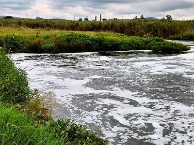 Gauteng’s rivers pushed toward ecological collapse