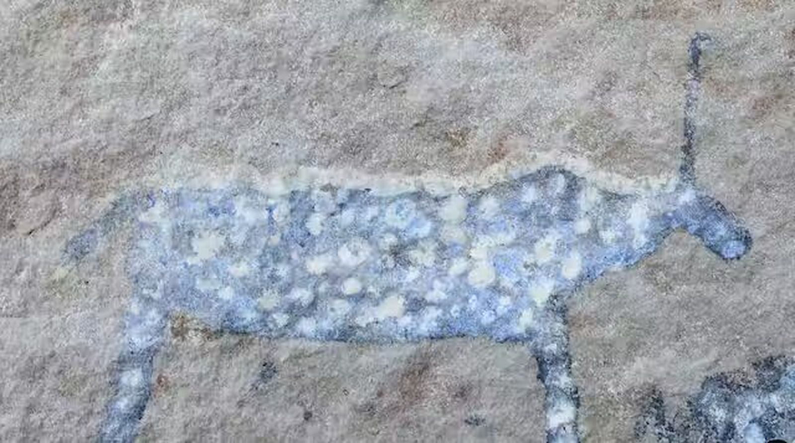 Unicorns in southern Africa - the fascinating story behind one-horned ...