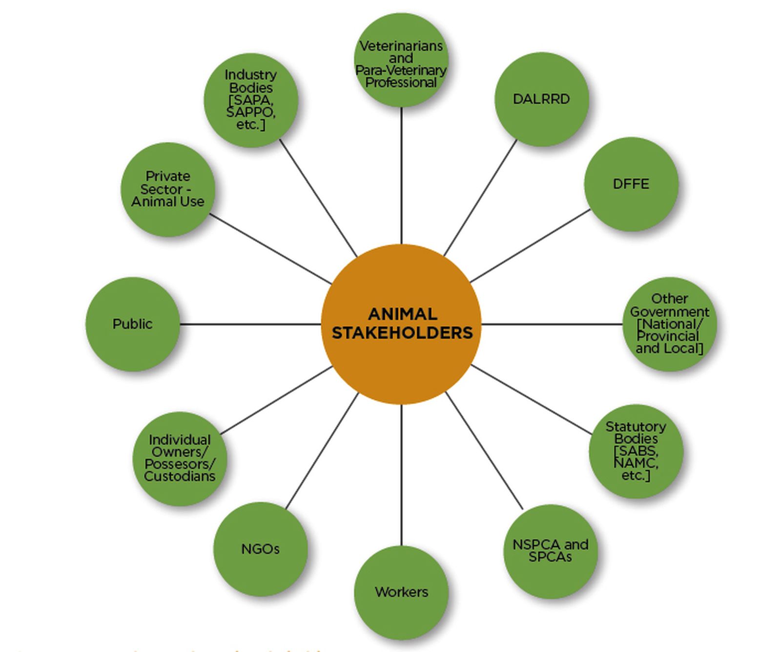 The battle for animal welfare in South Africa