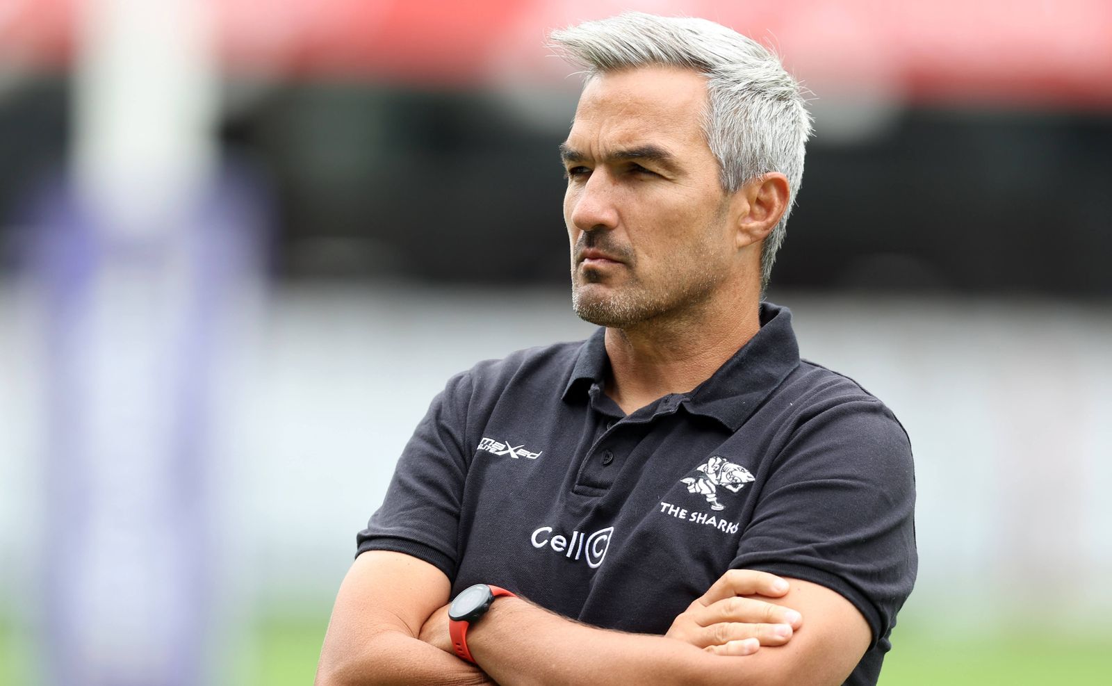 Plumtree back to lead Sharks 10 years after acrimonious departure from ...