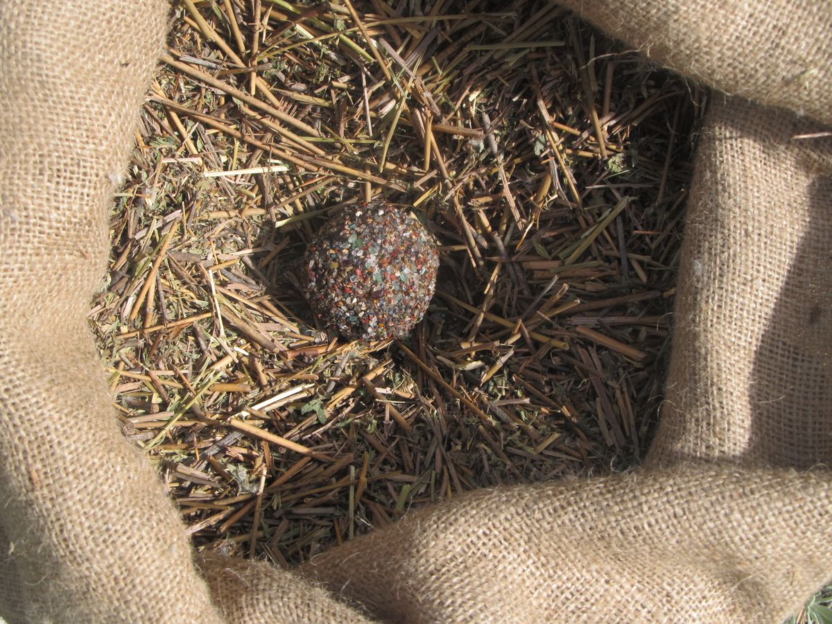 From the ground up: The importance of good soil