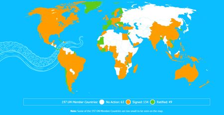 SA joins 134 nations in new push for High Seas protection treaty