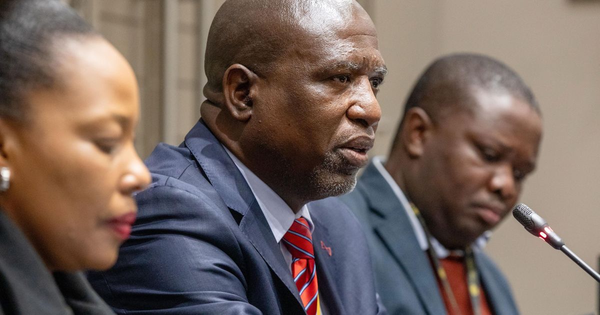 Parliament’s Mkhwanazi oral hearings — the players you need to know
