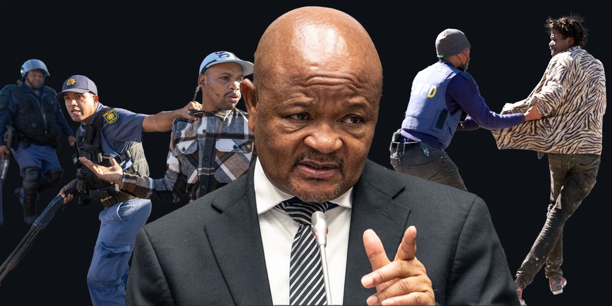 Senzo Mchunu's push for SAPS-private security alliance a possible ...