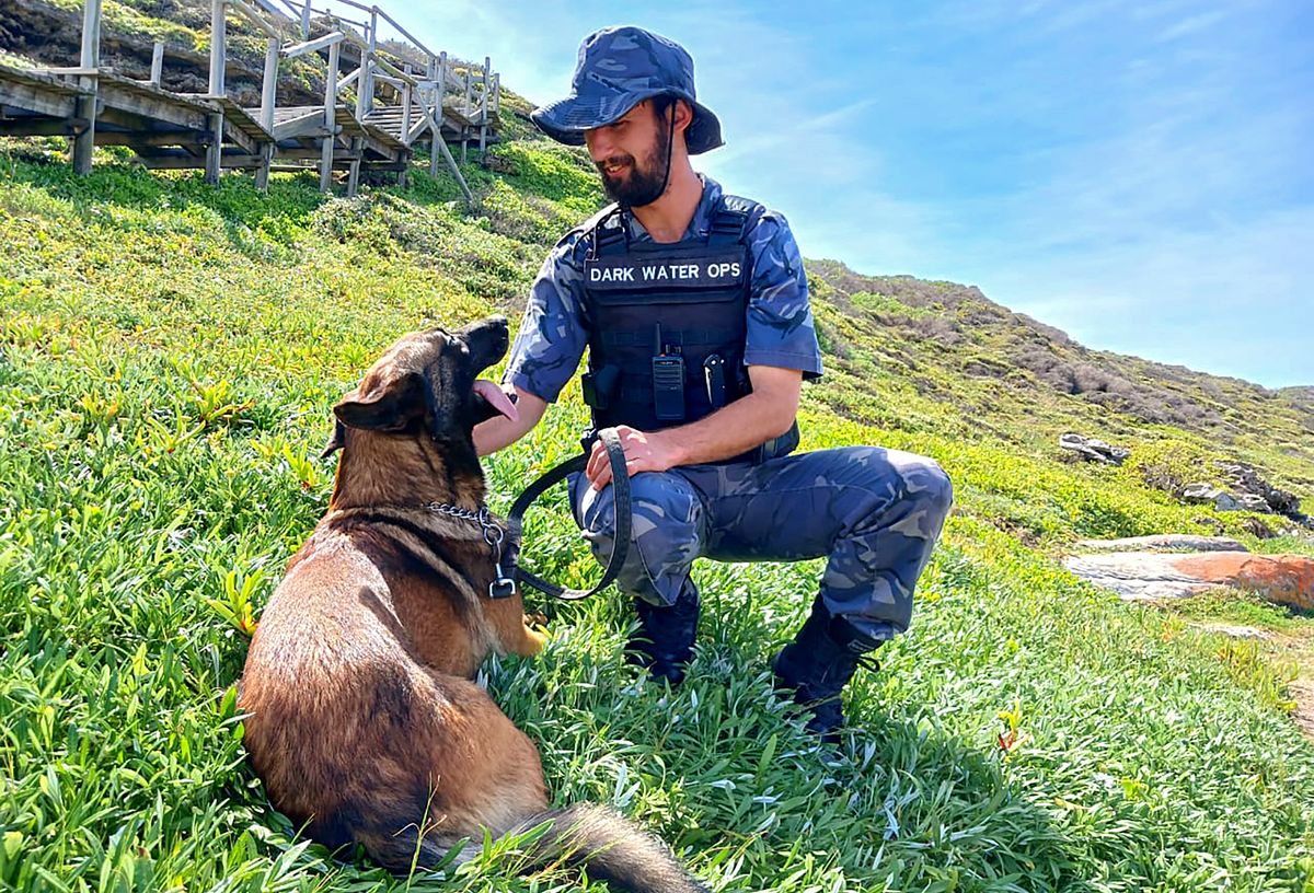 Poachers feel the bite of Zeus, the anti-poaching unit’s perlemoen ...