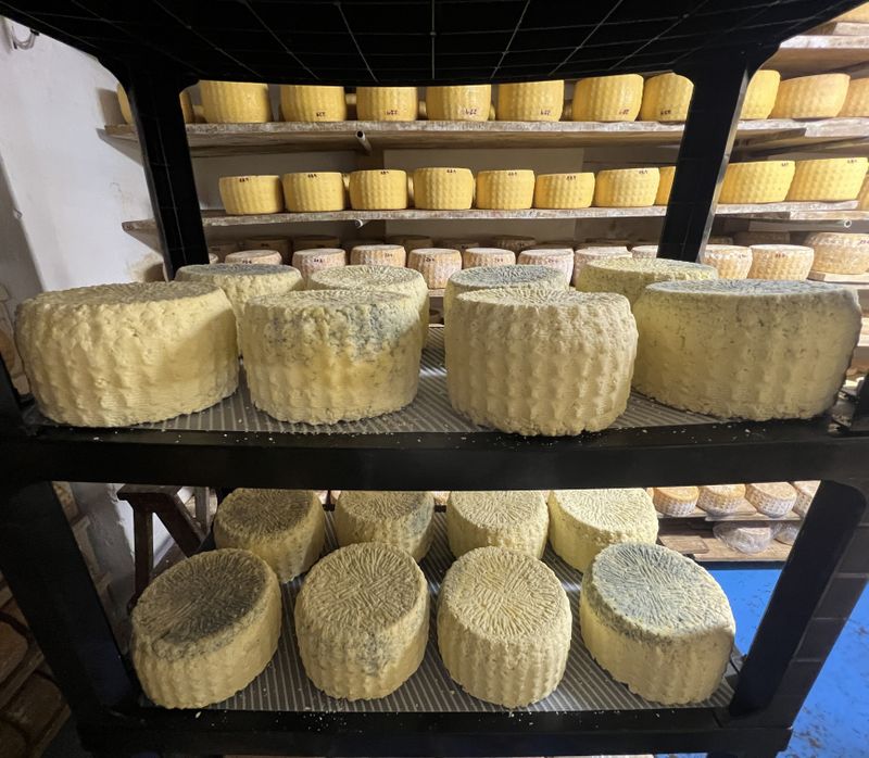 The moon-lit cheeses of the Karoo Highlands