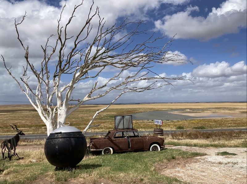 I have a picture for you! 24 October - 30 October 2021