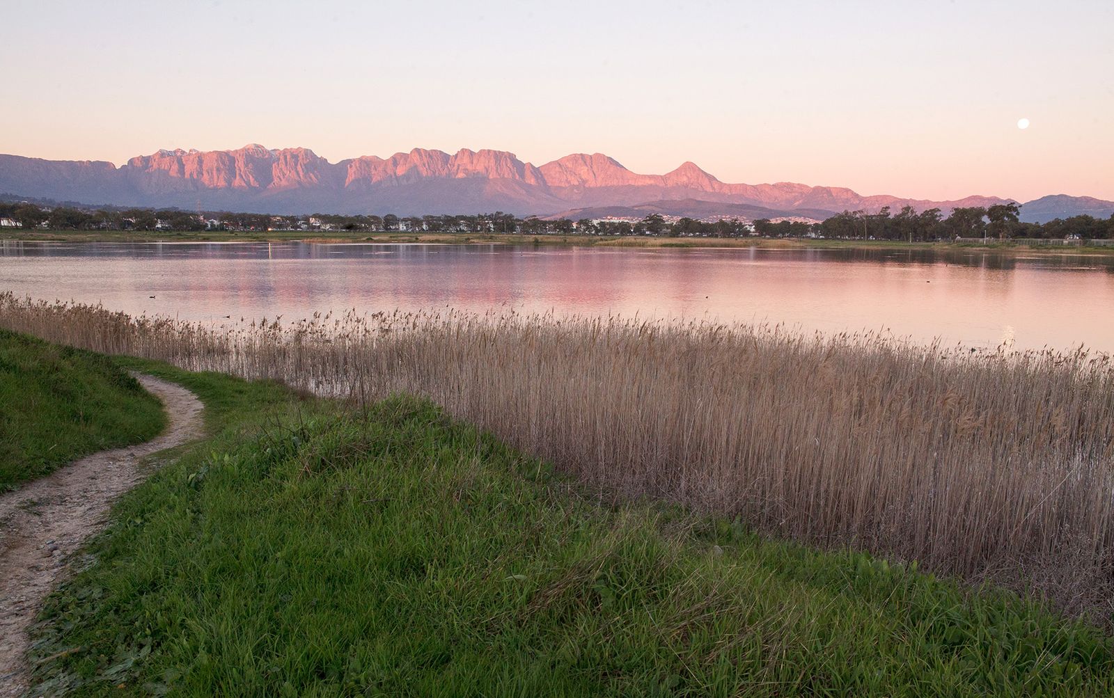Paardevlei, Cape’s potential affordable housing and nature reserve project