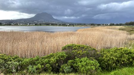 Paardevlei, Cape’s potential affordable housing and nature reserve project