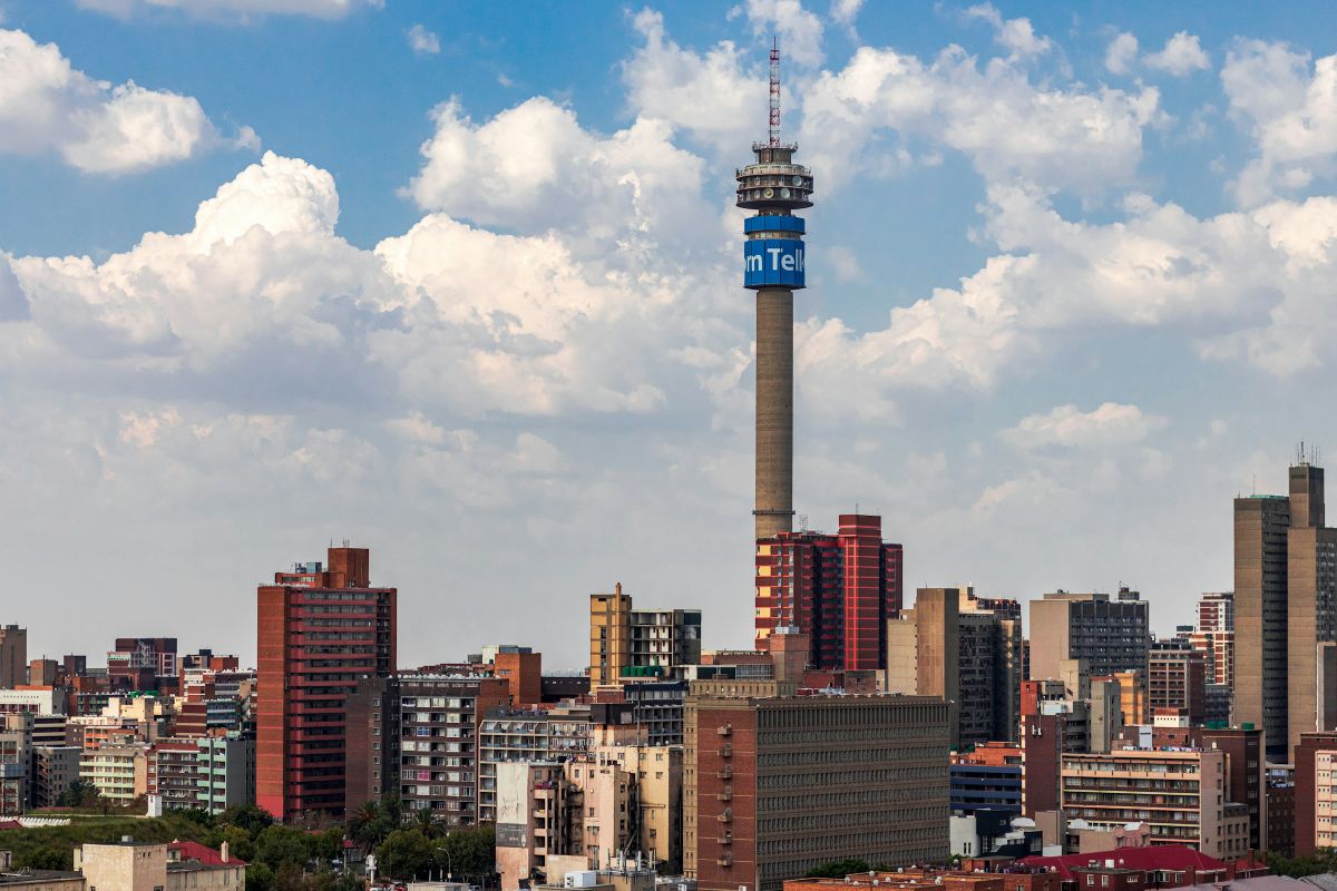 Lost and found in the urban Jozi jungle