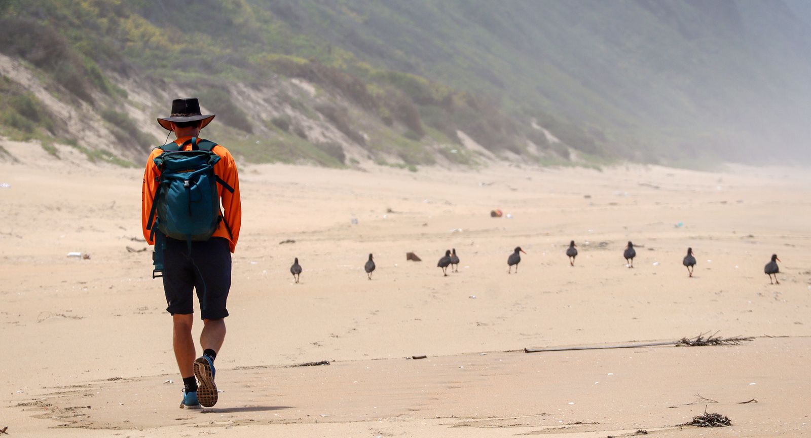 Animal adaptations to climate change uncovered by citizen science