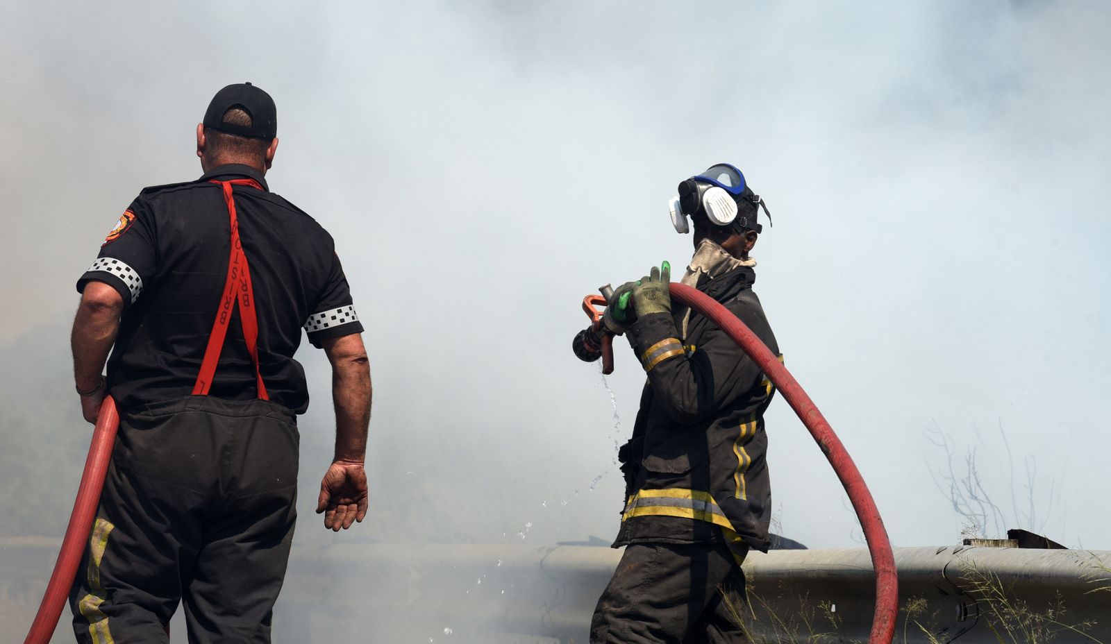 Nelson Mandela Bay on high alert after dry, windy veld fires ignite ...