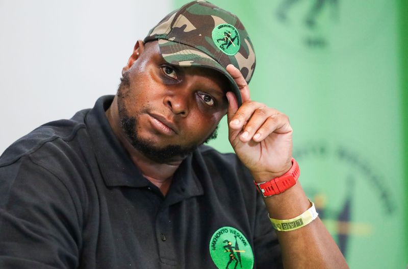 MK party’s National High Command — Shivambu national organiser