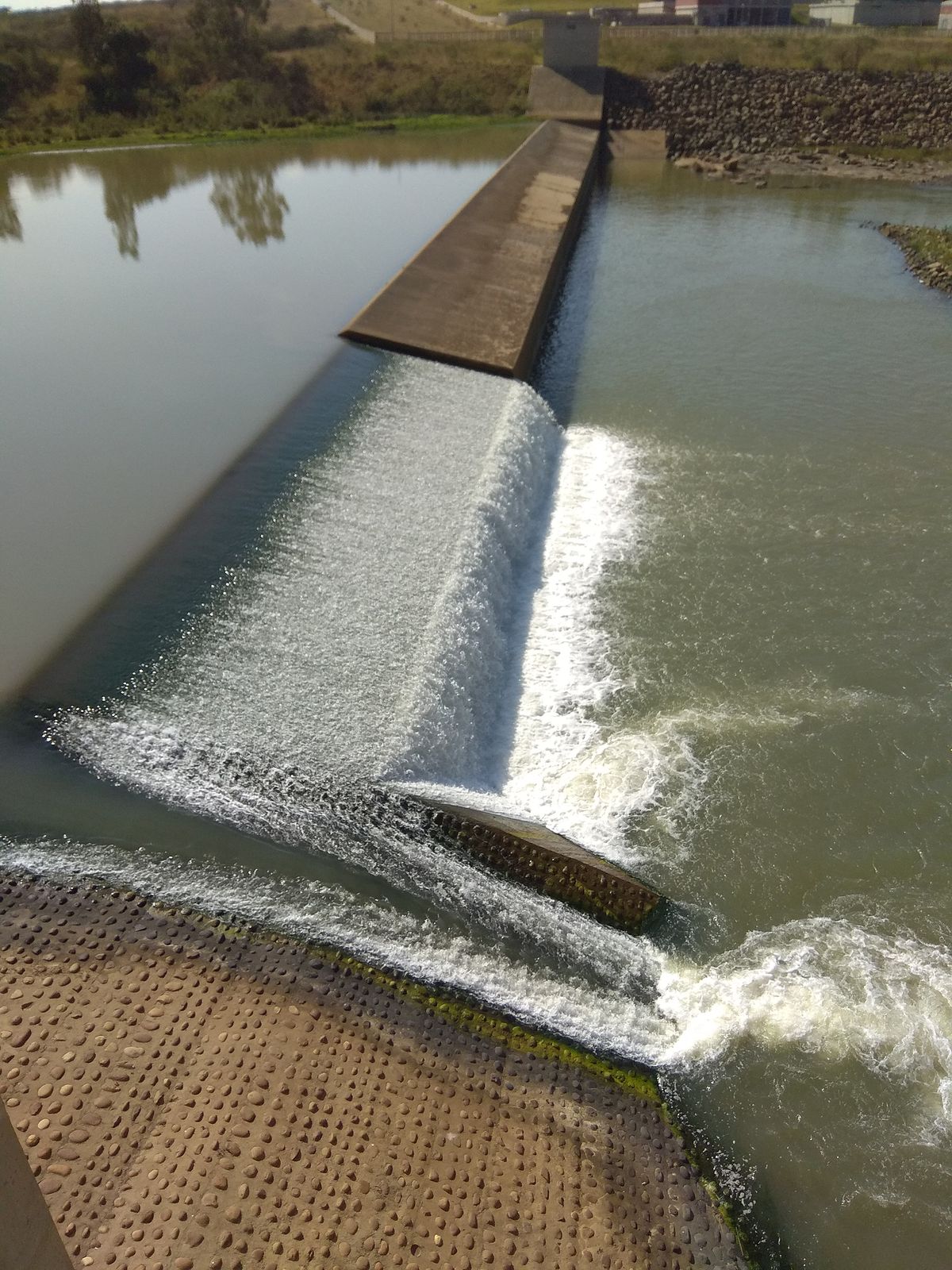 River roadblocks — South Africa’s waterways need help to be brought ...
