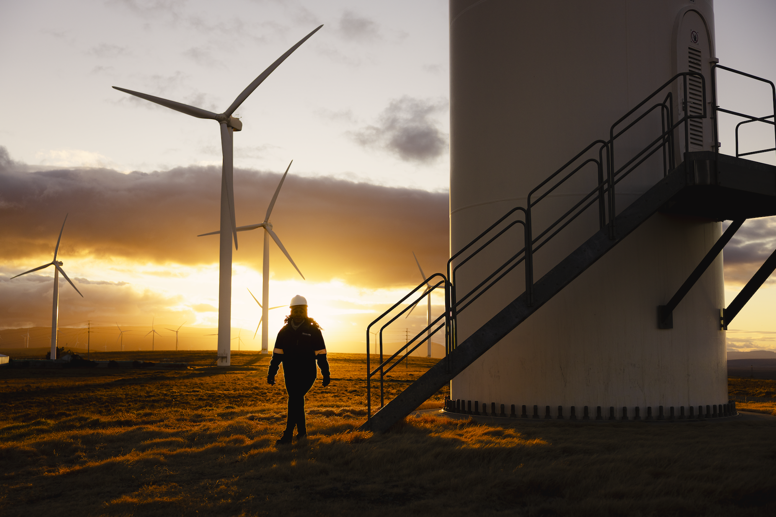 Proven Impact: How Anthem is Delivering Clean Power and Driving Growth ...