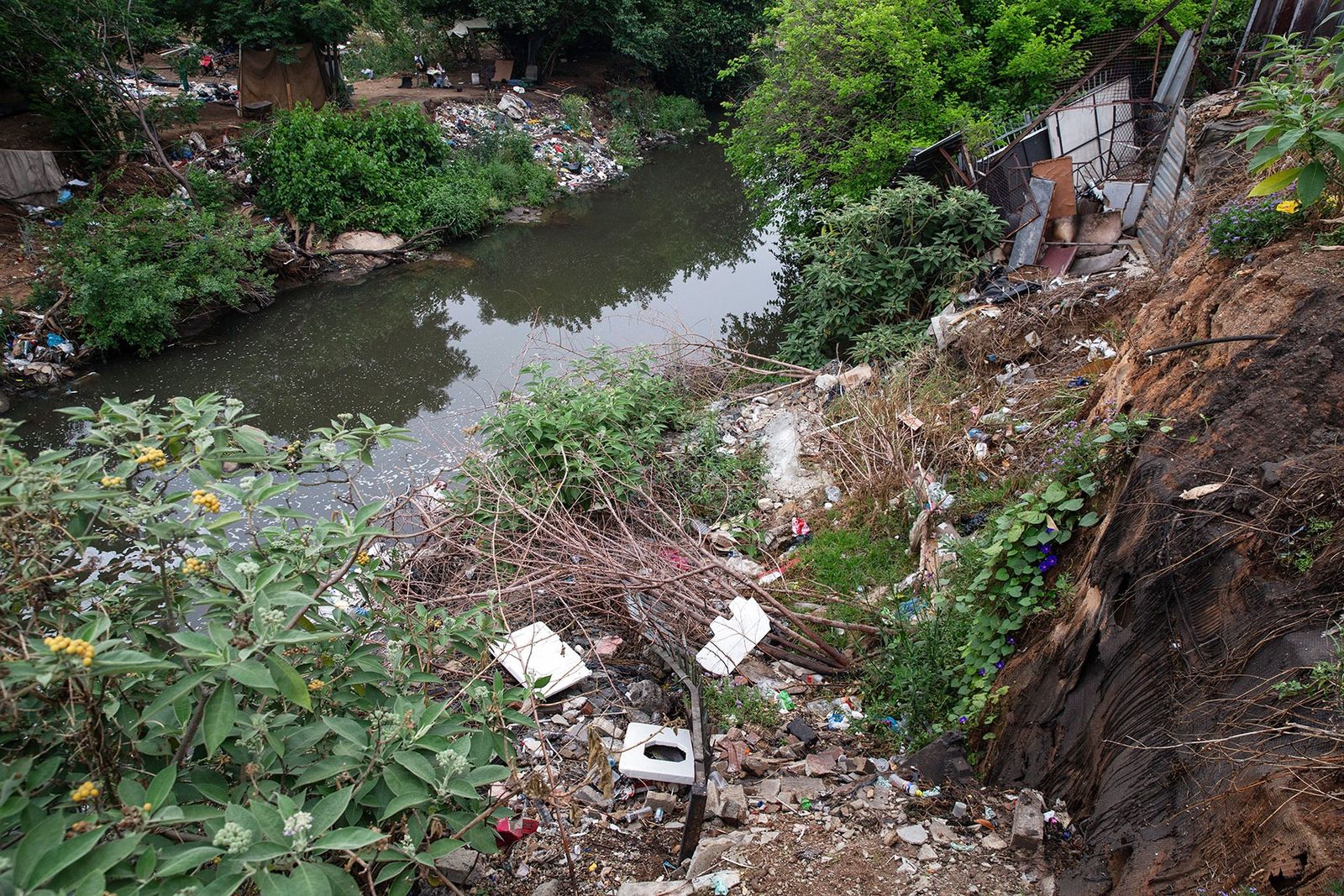 Toxic tide — dangerously polluted waterways in Joburg and throughout SA ...