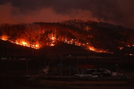 South Korea wildfires kill at least 24, pilot killed as firefighting ...