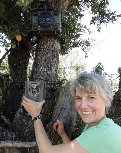 Talk on the wild side: Animals fear human voices more than a lion's ...