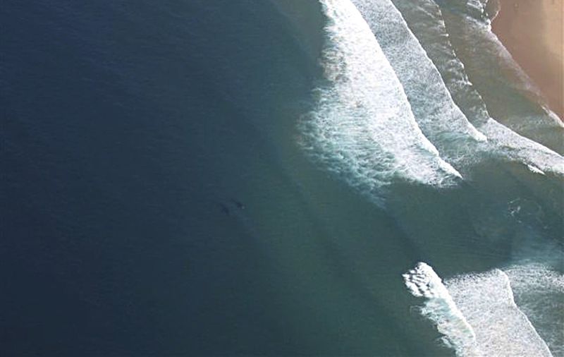 Coming to six Cape Peninsula beaches — a rip current forecasting model