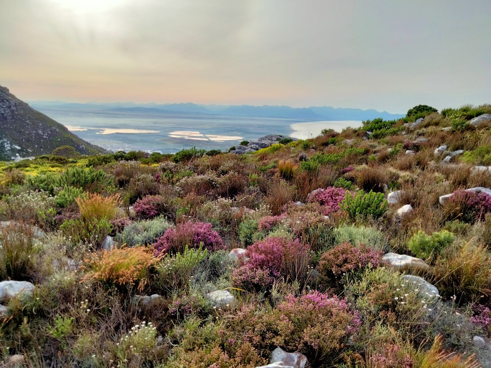 Wildfire highlights complex oversight of Table Mountain National Park ...