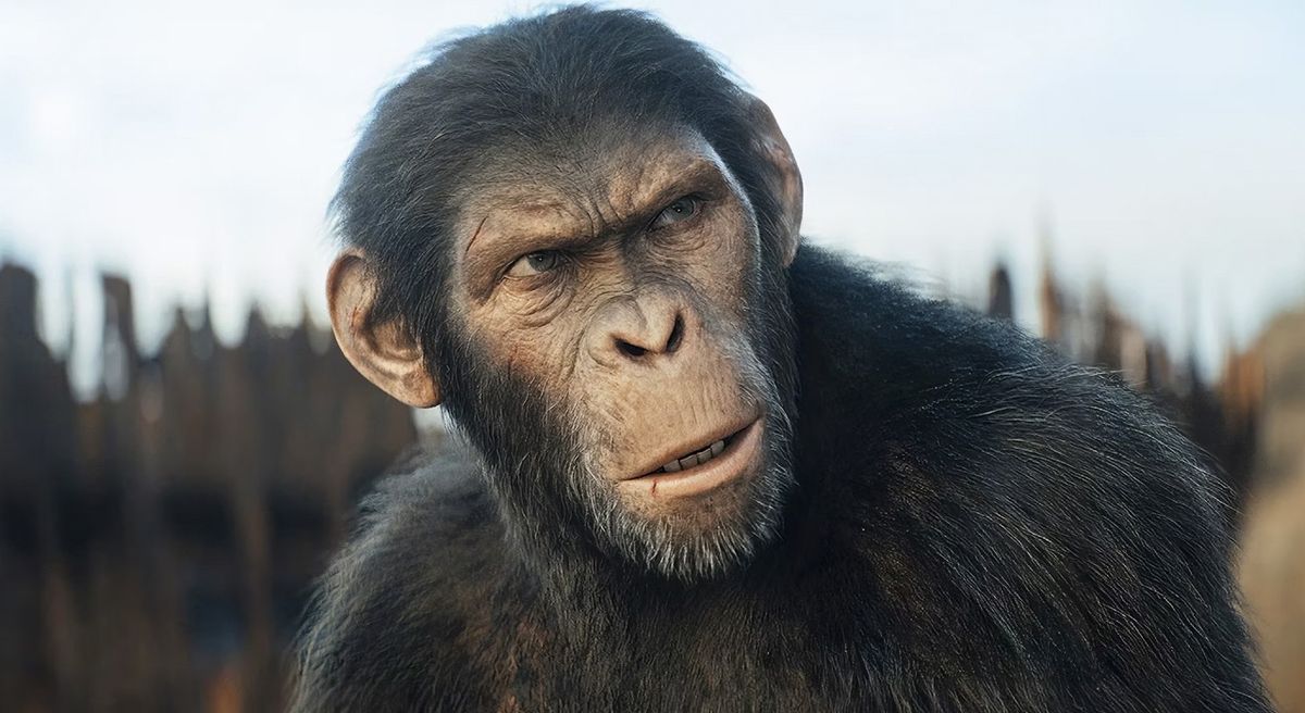 Kingdom of the Planet of the Apes review: Apes of Wrath