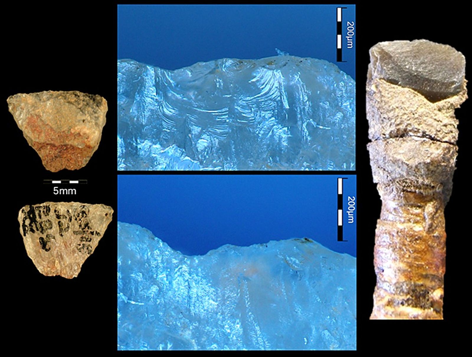 KZN team finds ‘oldest evidence’ of arrow poison use by humans on ...