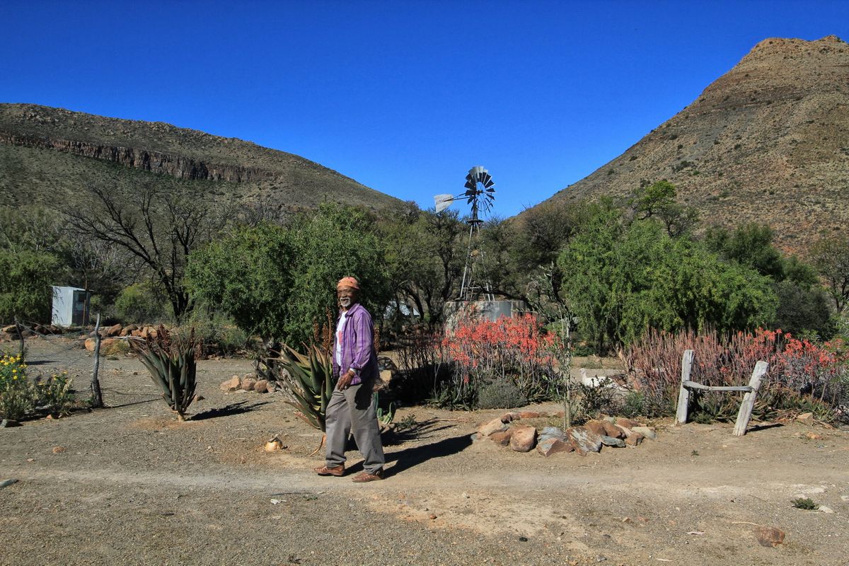The singer and the veld shaman: healing with herbs and blessings