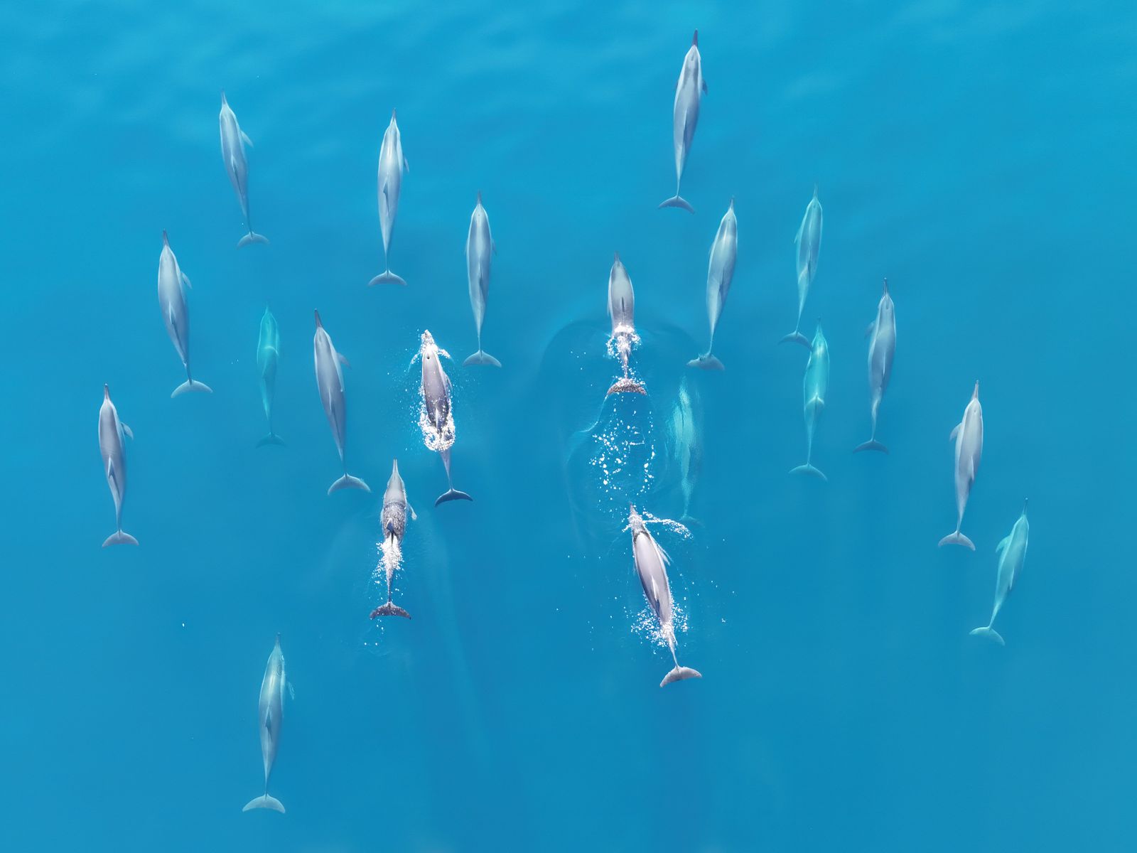 Scientists find human chemistry woven into our oceans
