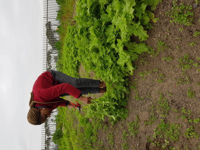 Eating local and the importance of cultivating edible indigenous plants