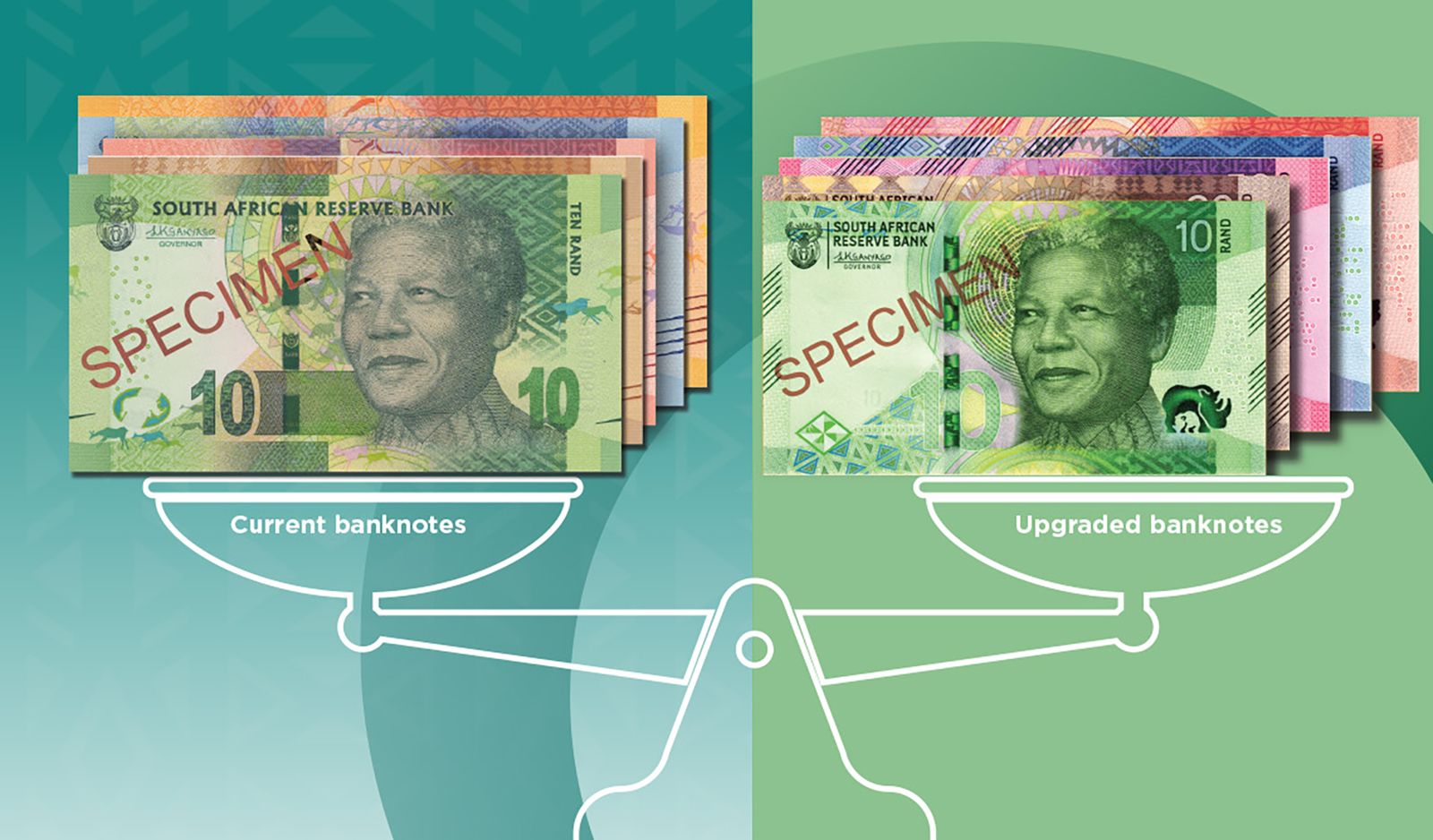 New South African banknotes and coins show Big Five 'family bonds'