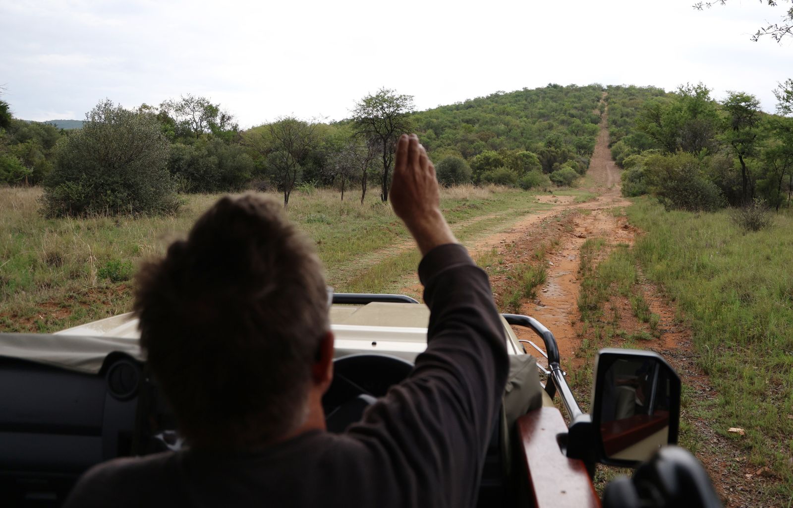 Limpopo reserve wants something no one else in SA wants: elephants