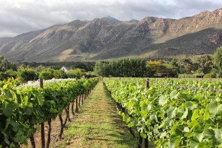Montagu: One of the most attractive towns in the Klein Karoo