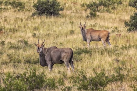Gariep: The story of South Africa’s largest dam