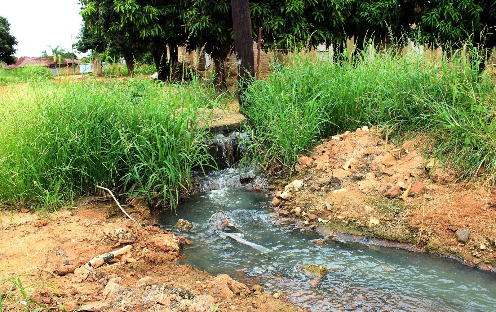 Limpopo village decries ‘living with sewage’ after spill