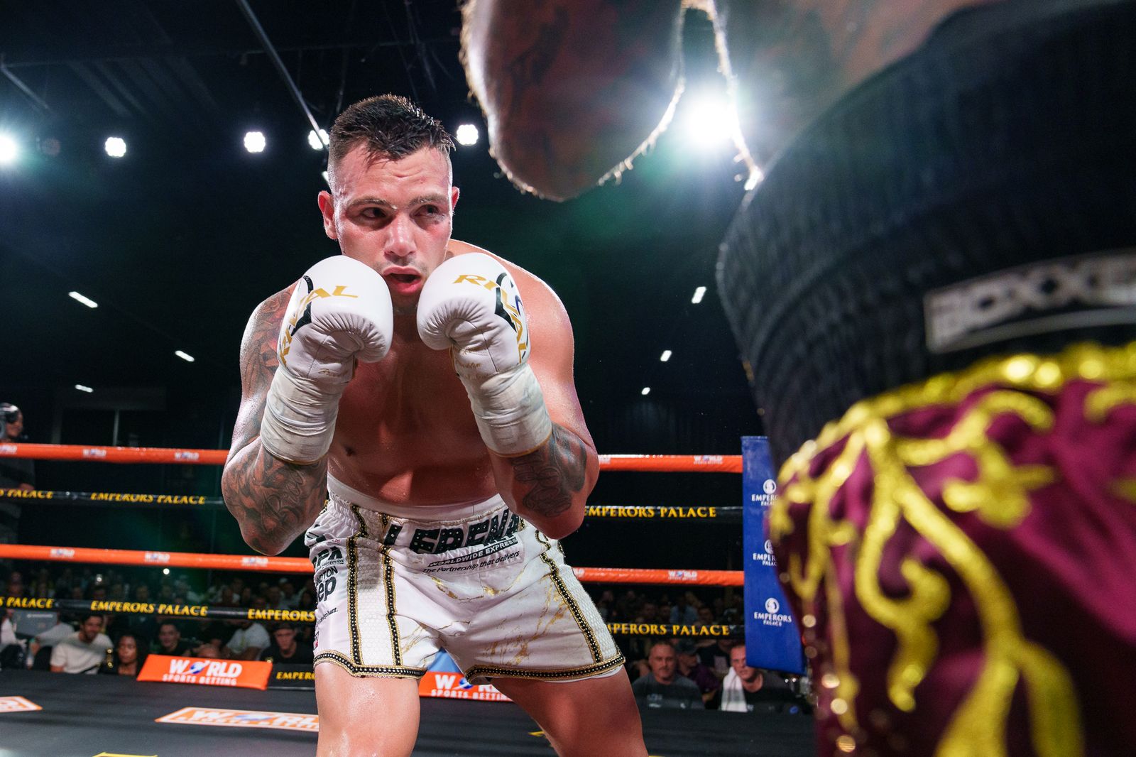Battered and bruised Kevin Lerena continues boxing his way to the top