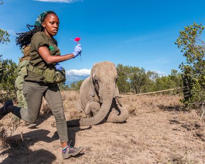 2022 Nature Conservancy photo contest winners – climate, people and nature