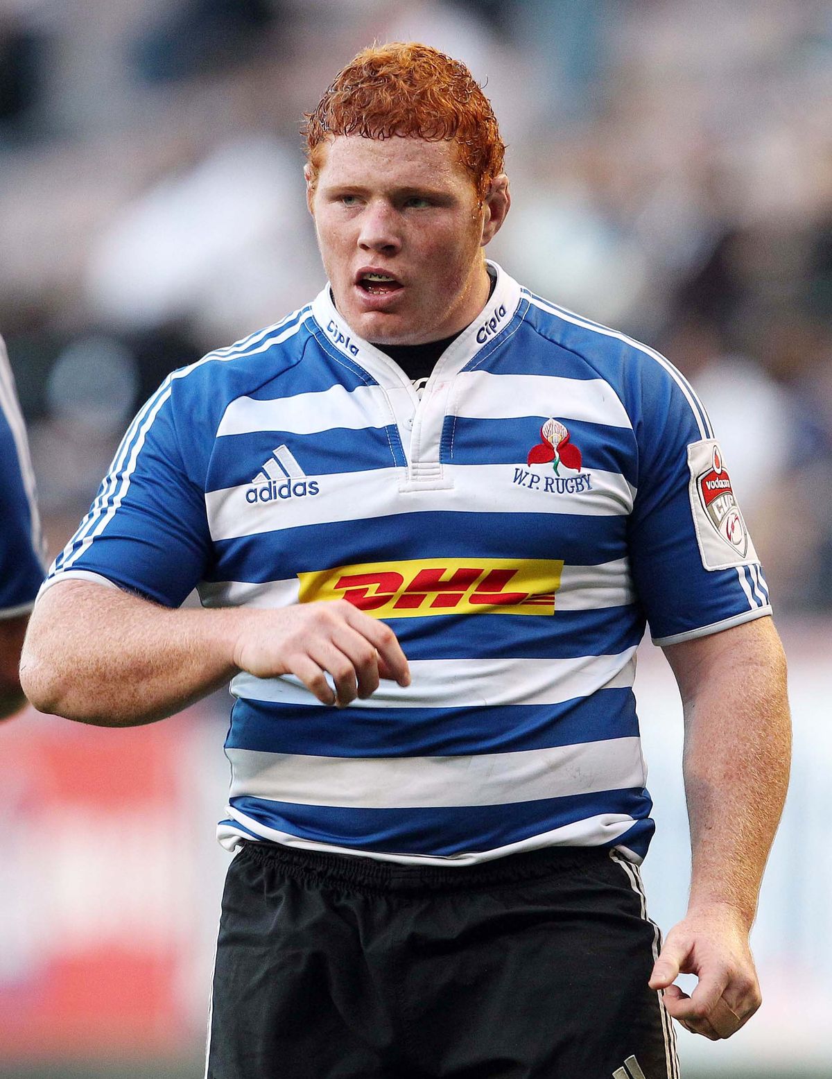 Springbok great and Stormers legend Steven Kitshoff forced into ...
