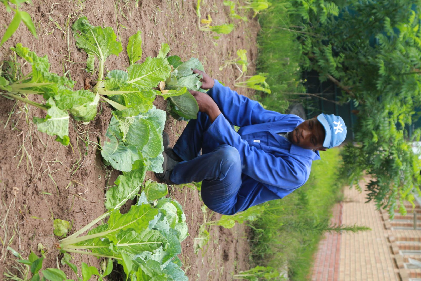 Sky is the limit for Kuyasa Combined School education hero