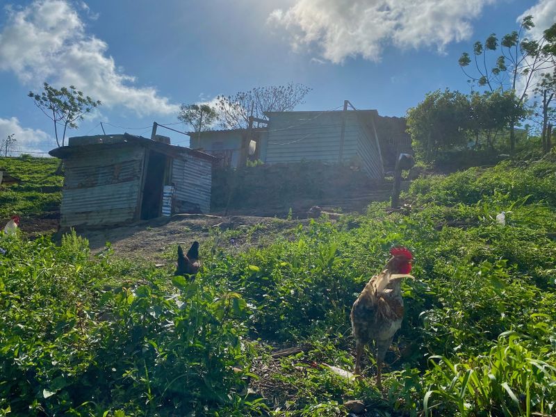 Promised land is a battleground — inside a Cato Manor, Durban, informal ...
