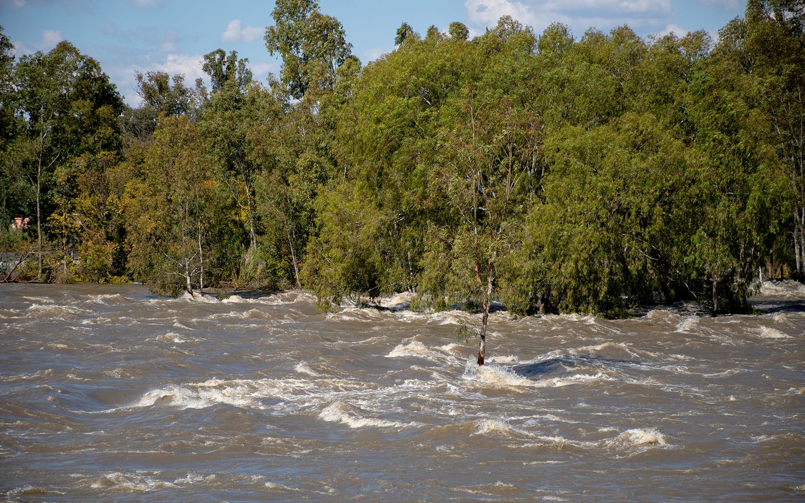 Life below the Vaal Dam in a changing climate