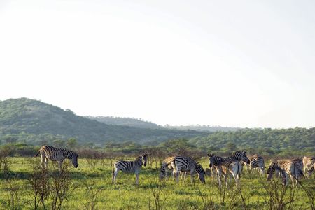 Day trip: To greener pastures - a trip to the Midlands