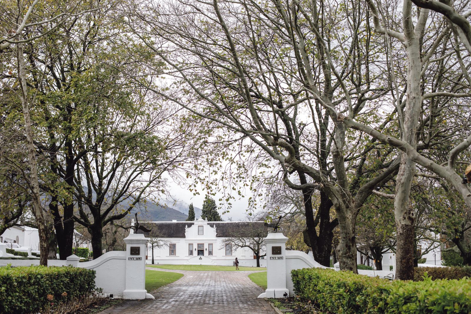 Steinhoff scandal: The ghost of R510m in fines looms large over Markus ...