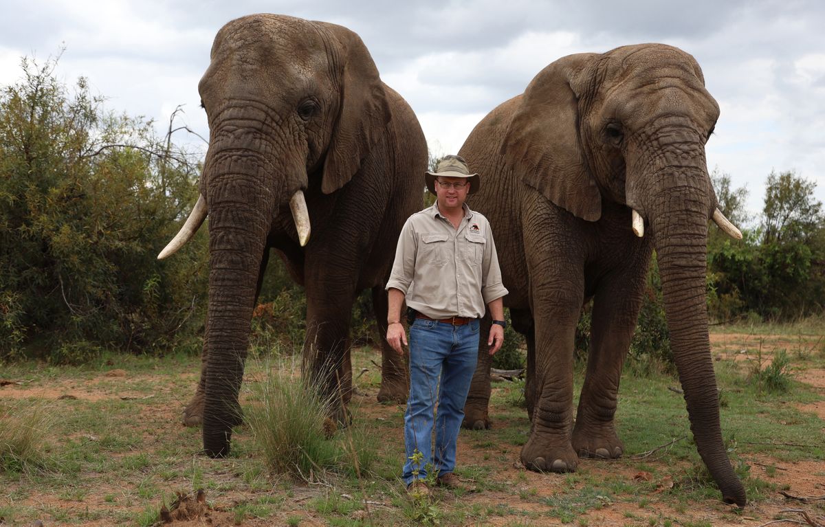 Small group of South African elephants delivers outsized research results
