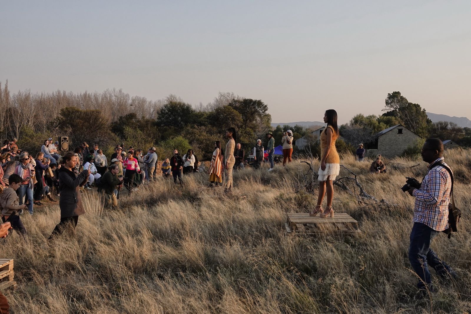 Woolly world – celebrating the merino sheep of the Karoo