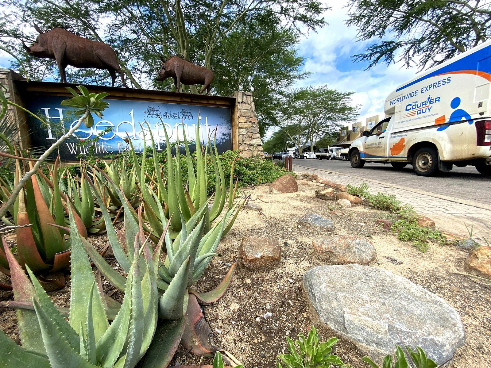 After Kruger Park storms, love and grief in the time of floods spur the ...