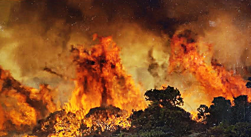 Inferno Madness: The severe impact of the Cape's adverse weather on ...