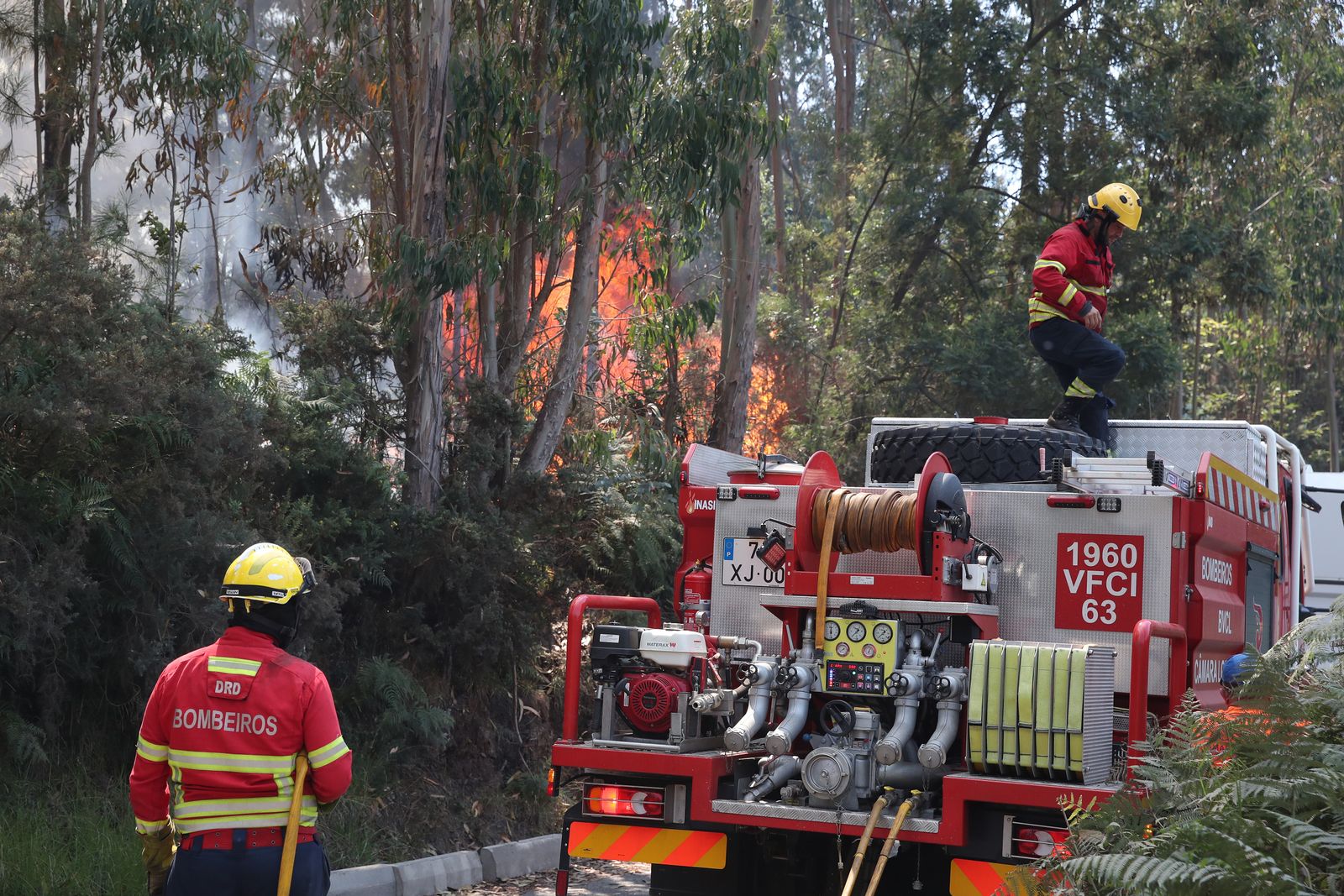 Hundreds of firefighters battle Madeira wildfire