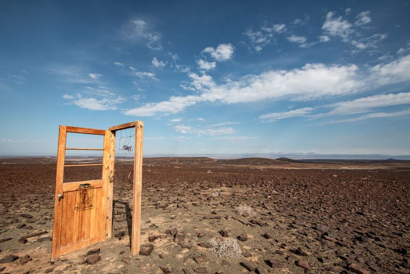 The artist’s way in the climate crisis